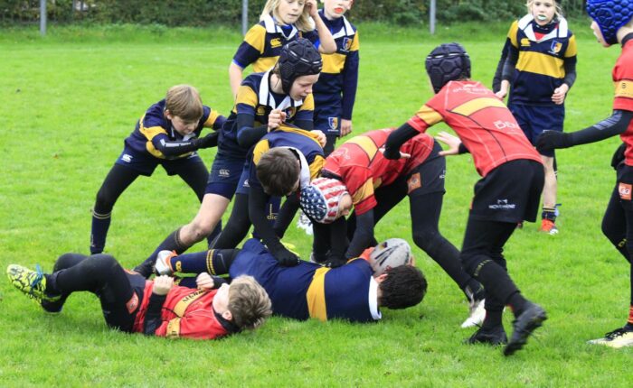 Home - The Dukes Rugby